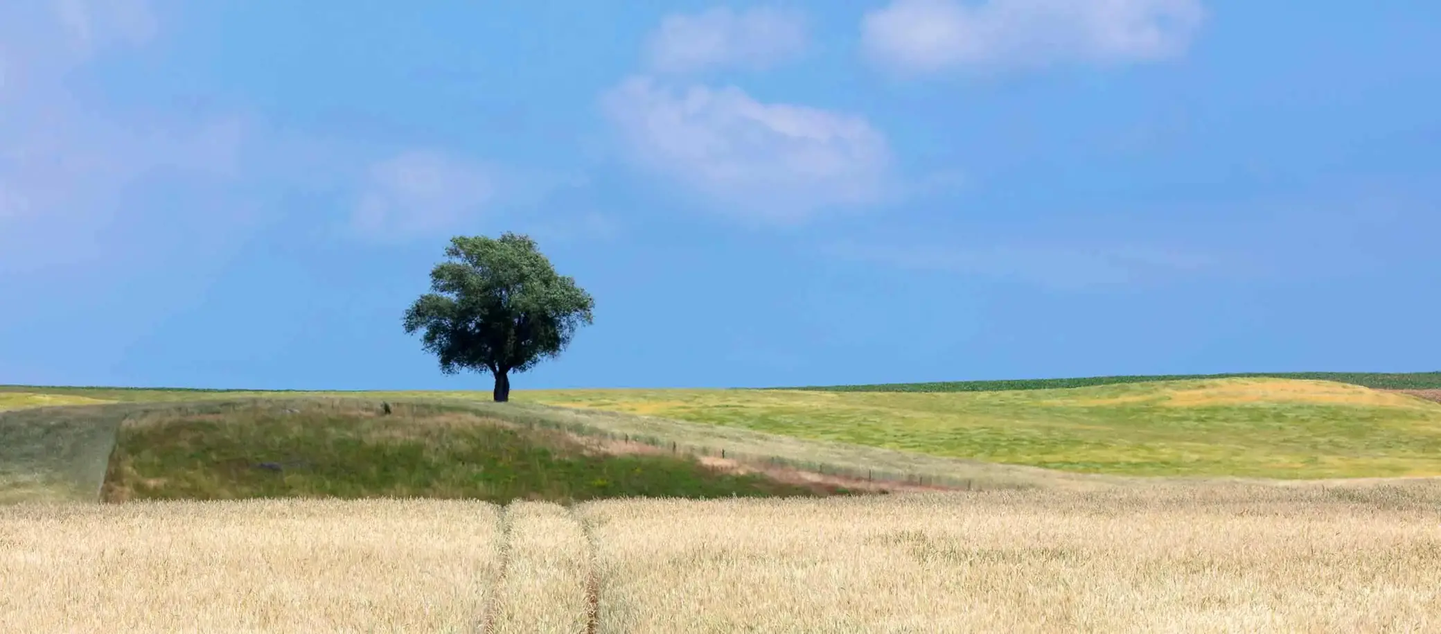 Knowledge bank | NIBE